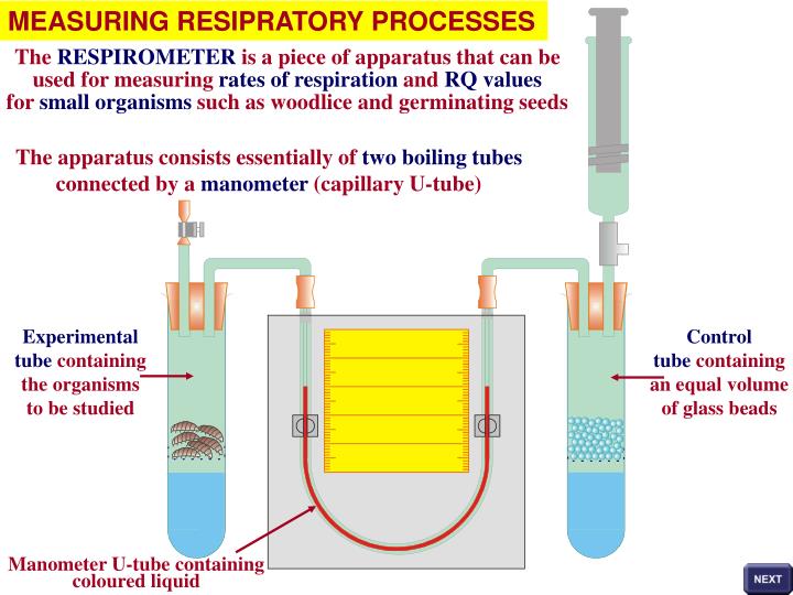 PPT - The Respiratory Quotient or RQ value is a measure of the ratio of ...