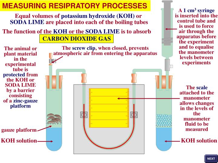 PPT - The Respiratory Quotient or RQ value is a measure of the ratio of ...