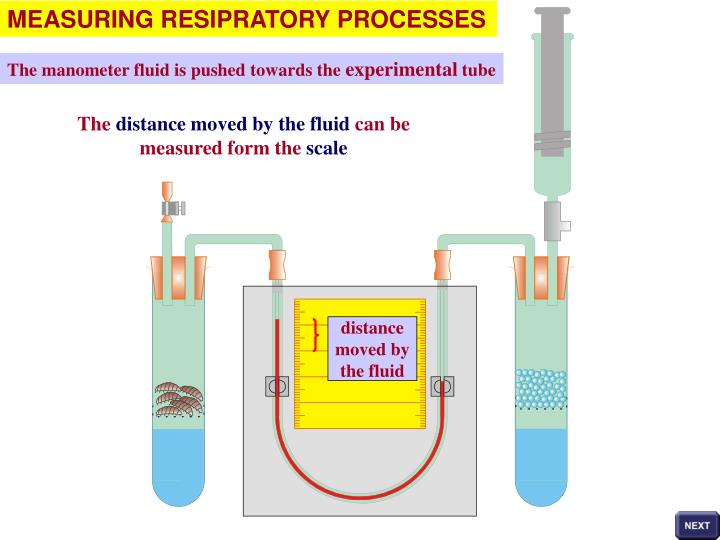 PPT - The Respiratory Quotient or RQ value is a measure of the ratio of ...