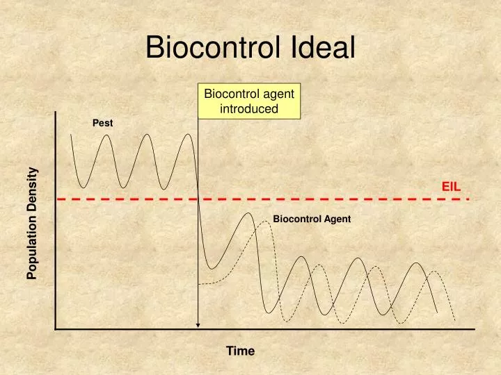 PPT - Biocontrol Ideal PowerPoint Presentation, free download - ID:1446112