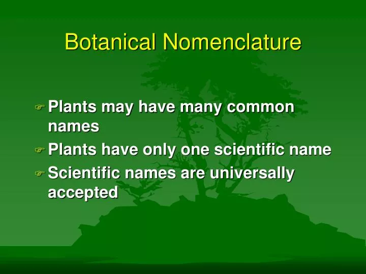 PPT - Botanical Nomenclature PowerPoint Presentation, free download ...