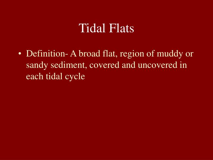 PPT - Tidal Flats and Other Sedimentary Structures Associated with ...