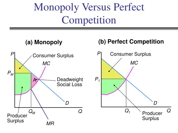 Differences Between Monopoly And Perfect Competition - vrogue.co Differences Between Monopoly And Perfect Competition - vrogue.co