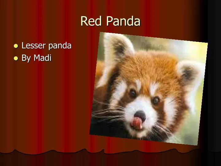 PPT - Red Panda PowerPoint Presentation, free download - ID:1448018