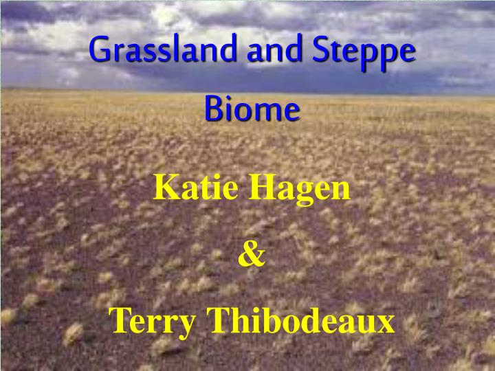 PPT - Grassland and Steppe Biome PowerPoint Presentation, free download ...