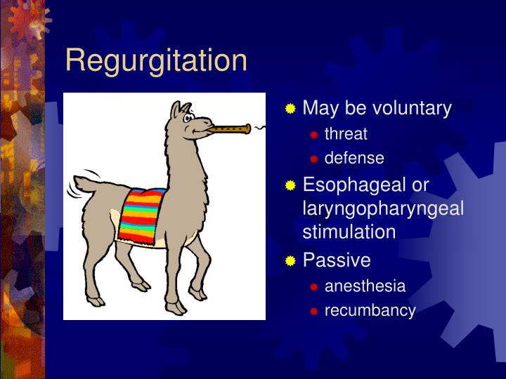 PPT - The Digestive System of the Llama and Alpaca PowerPoint ...