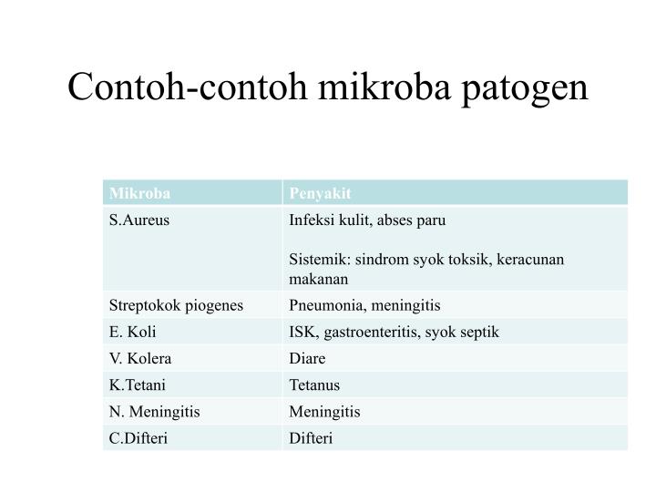 PPT - Pengantar Blok 2.2 INFEKSI Dr. Hj. Netti Suharti M.Kes ...