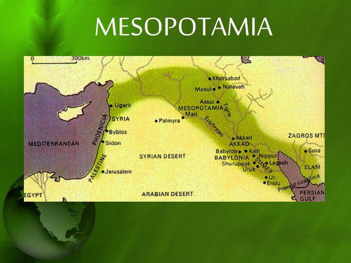 PPT - The First Humans PowerPoint Presentation - ID:1448846