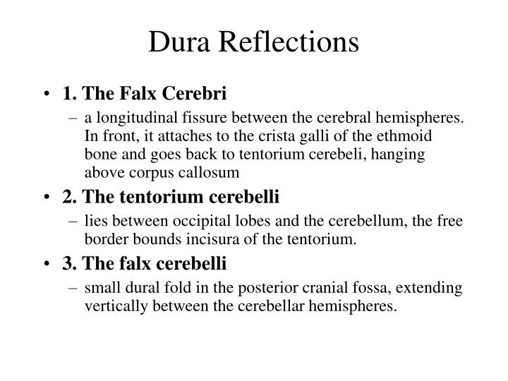 PPT - Periosteum PowerPoint Presentation - ID:1449037