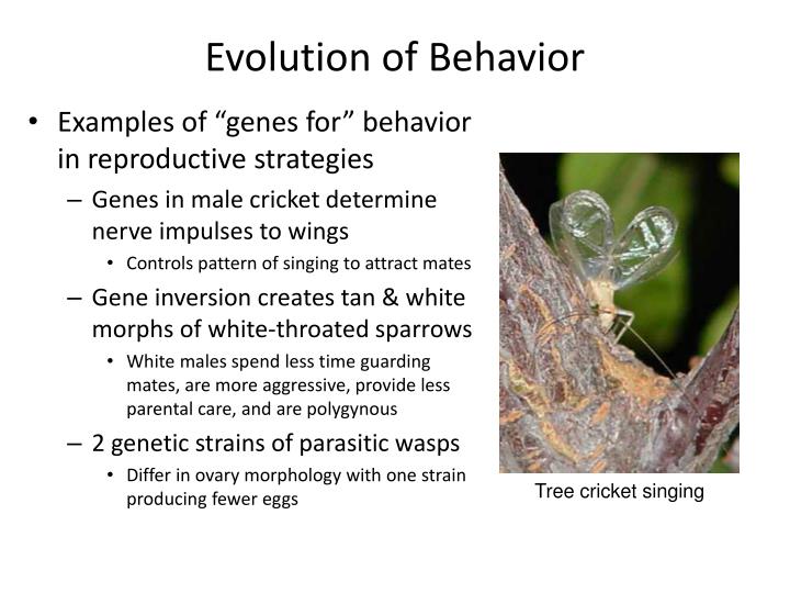 PPT - Reproductive Strategies PowerPoint Presentation - ID:1449209