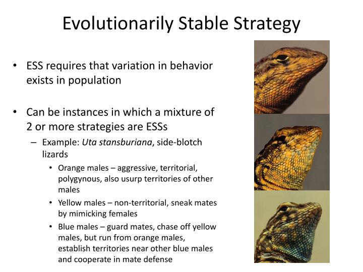 PPT - Reproductive Strategies PowerPoint Presentation - ID:1449209