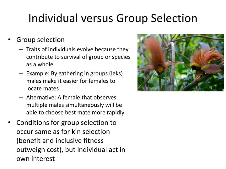 PPT - Reproductive Strategies PowerPoint Presentation - ID:1449209