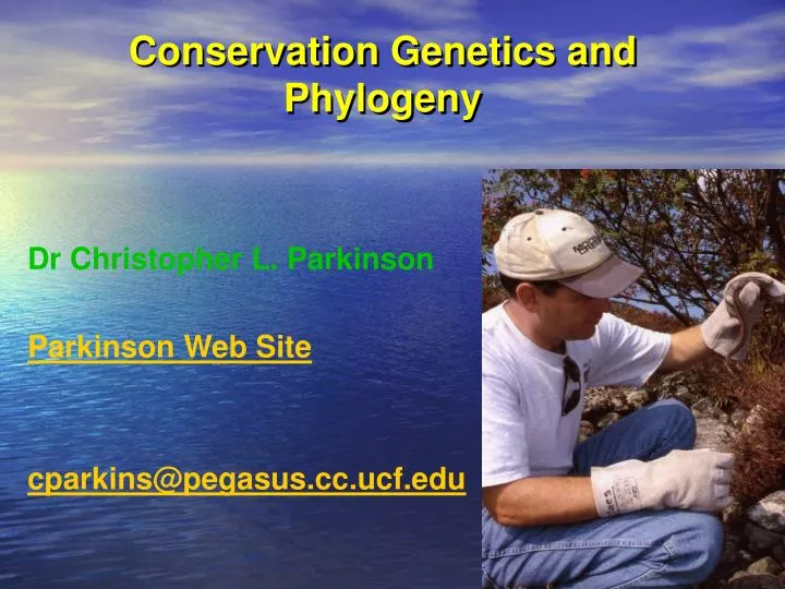 PPT - Conservation Genetics and Phylogeny PowerPoint Presentation, free ...