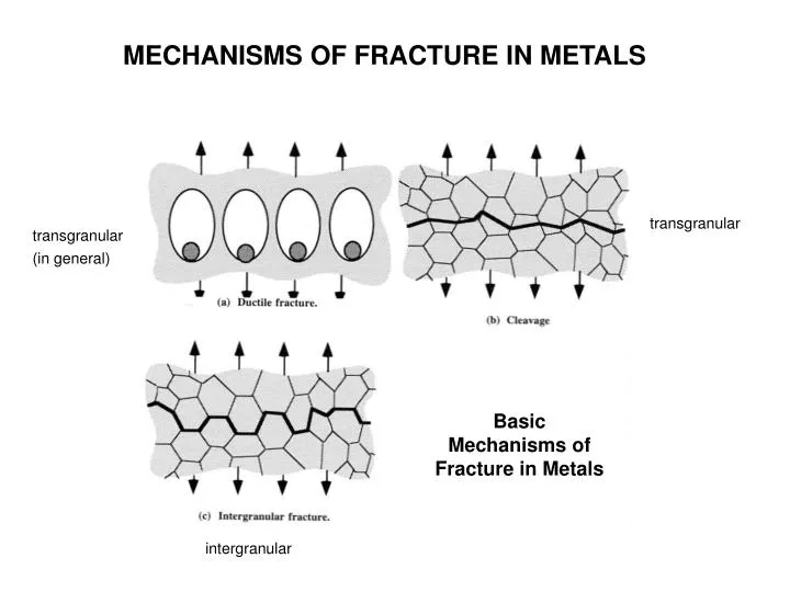 PPT - Basic Mechanisms of Fracture in Metals PowerPoint Presentation ...
