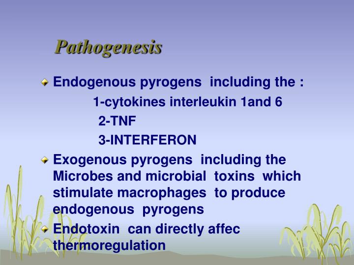 PPT - Fever In Children PowerPoint Presentation - ID:1449347