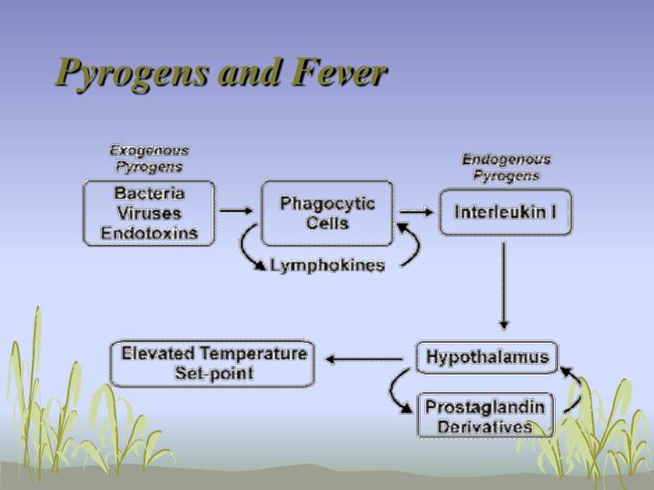 PPT - Fever In Children PowerPoint Presentation - ID:1449347