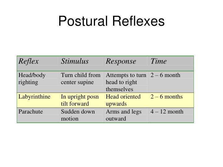 PPT - Motor Development: Outline PowerPoint Presentation - ID:1449510