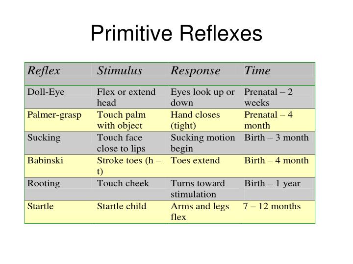 PPT - Motor Development: Outline PowerPoint Presentation - ID:1449510