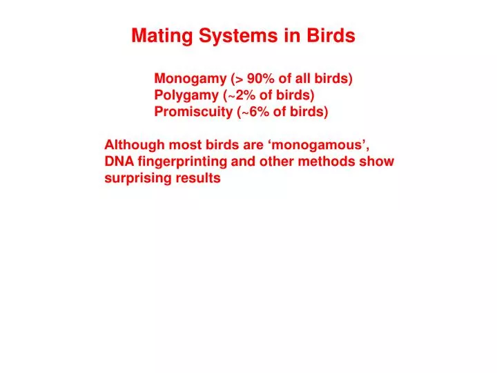 PPT - Mating Systems in Birds Monogamy (> 90% of all birds) Polygamy ...