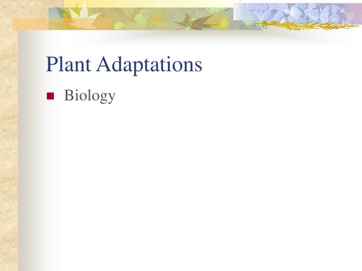 PPT - Plant Adaptations PowerPoint Presentation, free download - ID:144972