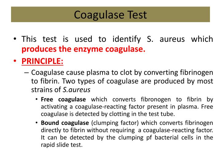 PPT - BIOCHEMICAL TEST TO IDENTIFY BACTERIA PowerPoint Presentation ...
