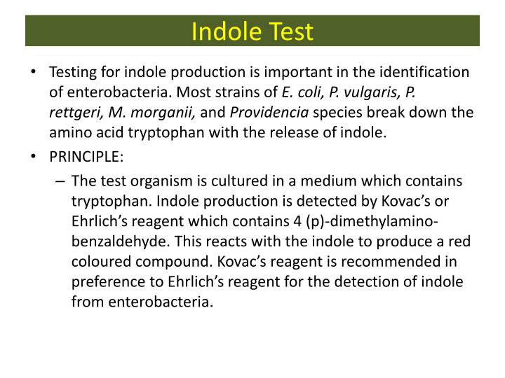 PPT - BIOCHEMICAL TEST TO IDENTIFY BACTERIA PowerPoint Presentation ...