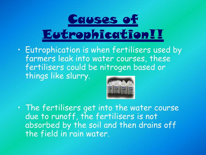 PPT - Eutrophication PowerPoint Presentation - ID:1450145
