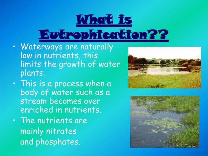 Eutrophication Potential