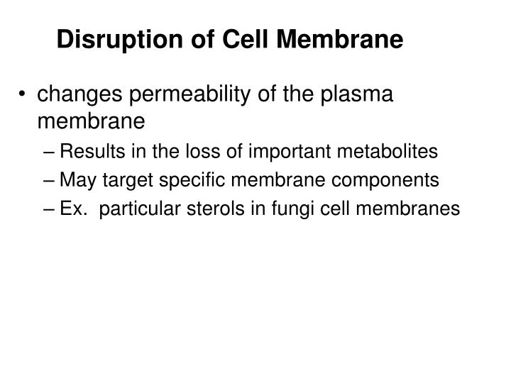 PPT - Chapter 10 Antimicrobial Medications PowerPoint Presentation - ID ...