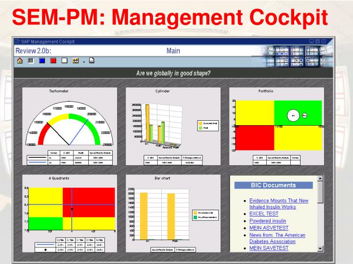 PPT - The SAP Management Cockpit (SAP MC): How executives make a ...