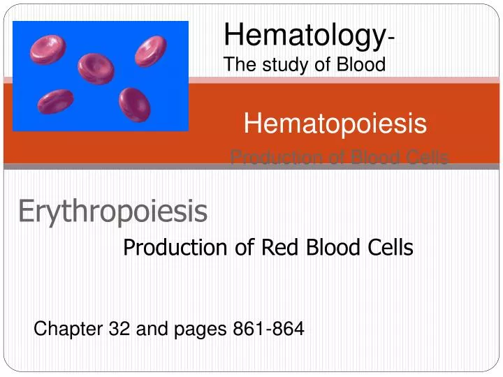 PPT - Hematopoiesis PowerPoint Presentation, free download - ID:1450904