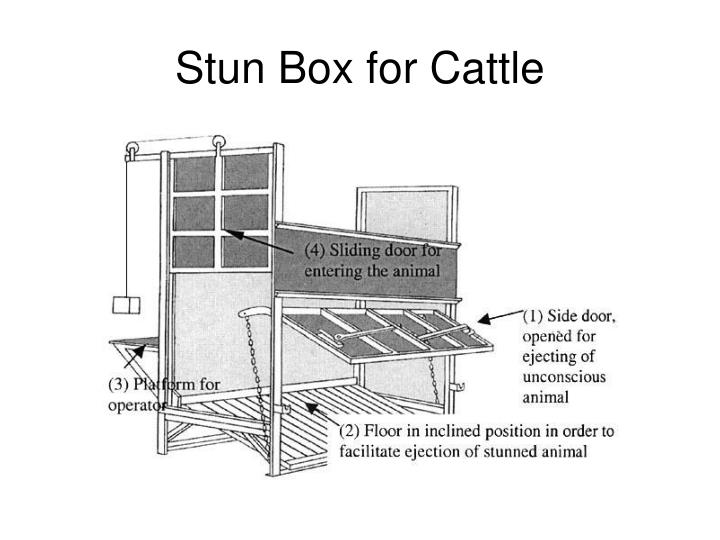 PPT - Meat Science PowerPoint Presentation - ID:1451210