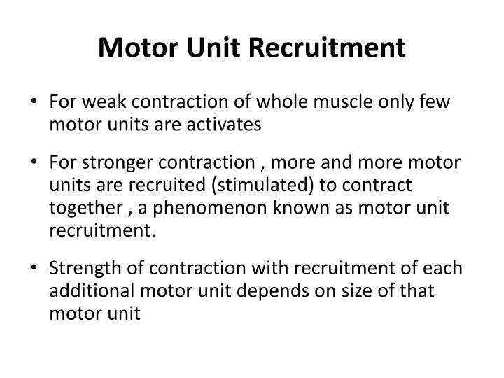 PPT - Skeletal Muscle Mechanics PowerPoint Presentation - ID:1451292