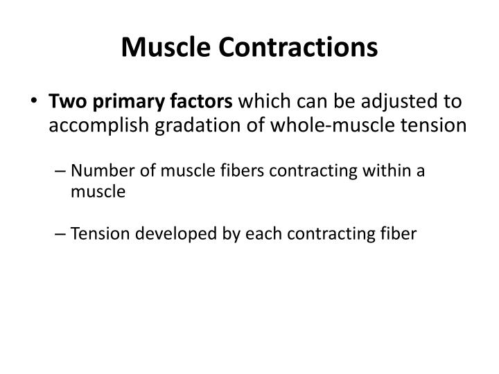 PPT - Skeletal Muscle Mechanics PowerPoint Presentation - ID:1451292