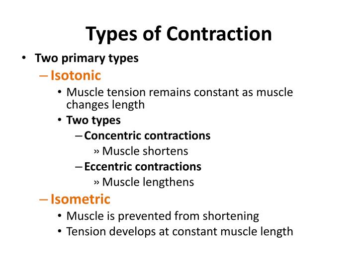 PPT - Skeletal Muscle Mechanics PowerPoint Presentation - ID:1451292