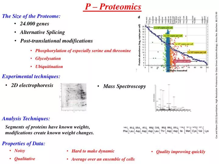 PPT - P – Proteomics PowerPoint Presentation, free download - ID:1451362 PPT - P – Proteomics PowerPoint Presentation, free download - ID:1451362