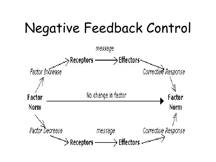 PPT - Regulating Mechanisms PowerPoint Presentation - ID:1451672