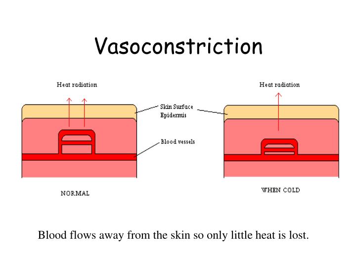 PPT - Regulating Mechanisms PowerPoint Presentation - ID:1451672