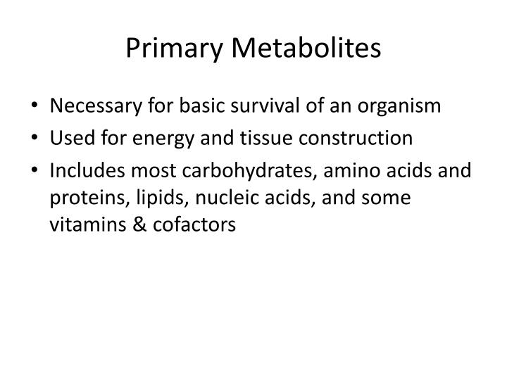 PPT - Primary and Secondary Metabolites PowerPoint Presentation - ID ...