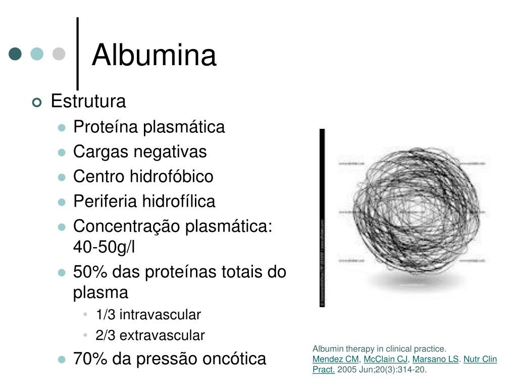 Qual A Função Da Albumina - FDPLEARN