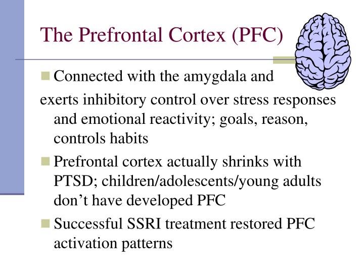 PPT - Why Survivors of Trauma Feel and Act the Way They Do ...