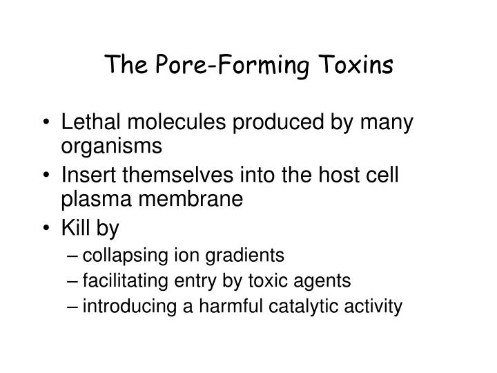 PPT - Membrane Transport PowerPoint Presentation - ID:1452557