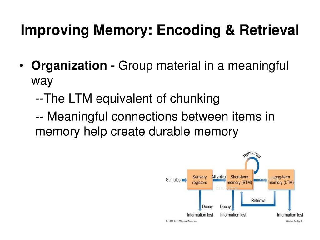 Ppt Memory What Can I Do To Improve It Powerpoint Presentation