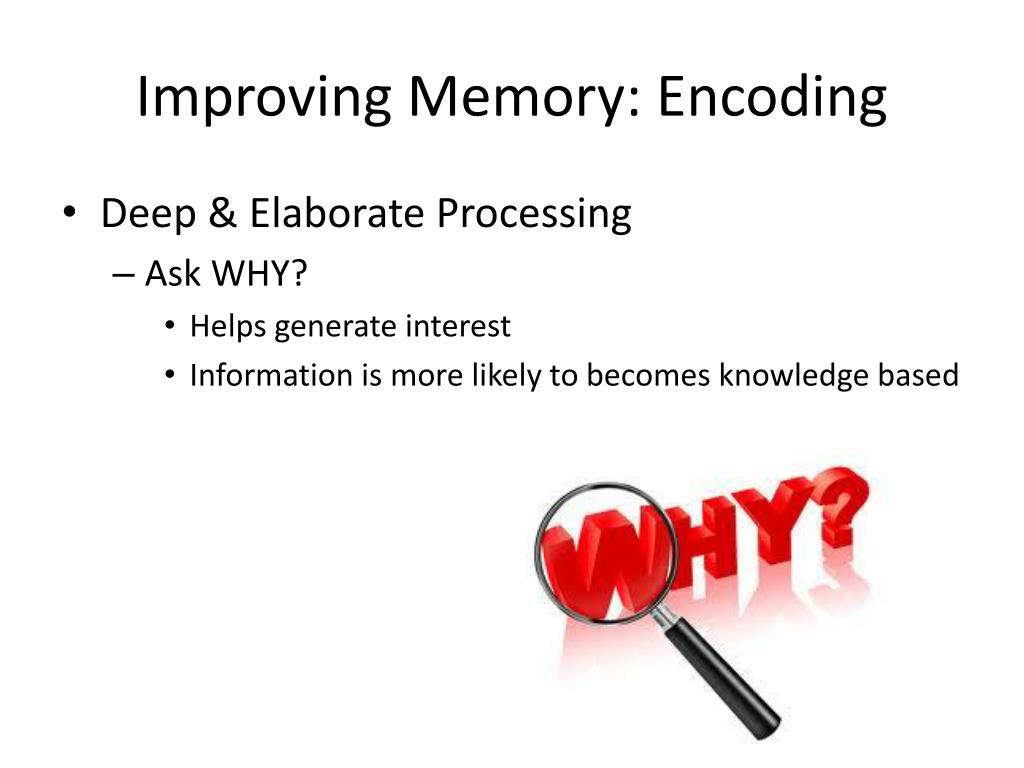 Ppt Memory What Can I Do To Improve It Powerpoint Presentation