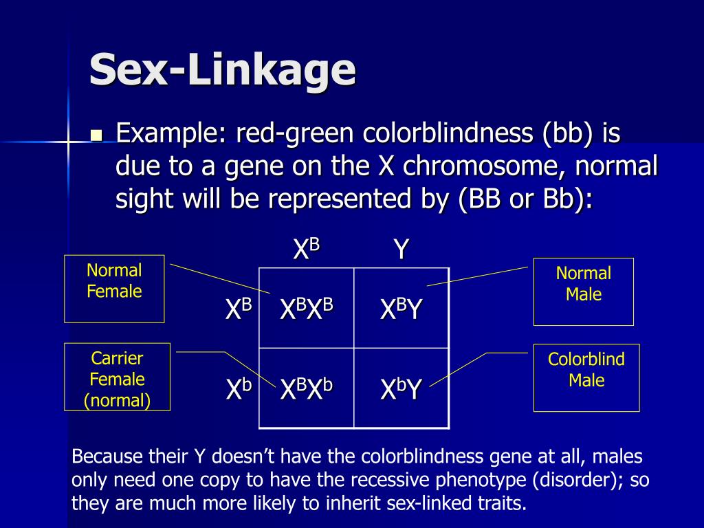 Ppt Genetics Beyond Mendel Powerpoint Presentation Free Download Id1452759