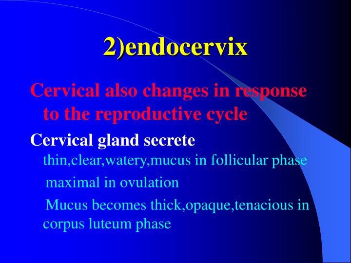 PPT - Physiology of the female reproductive system PowerPoint ...