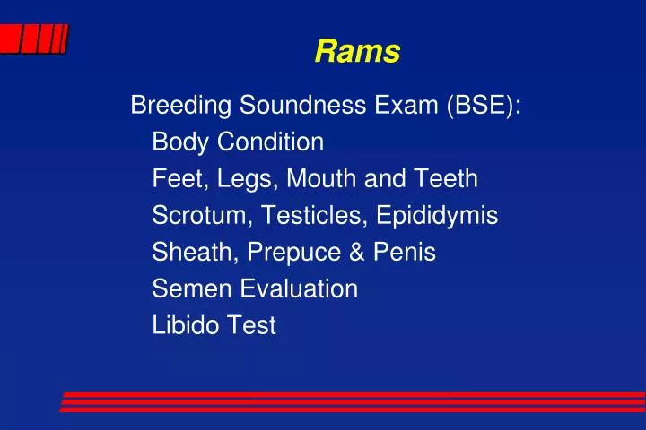 PPT - Rams PowerPoint Presentation, free download - ID:1453521