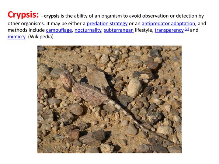 PPT - MIMICRY PowerPoint Presentation - ID:1454191