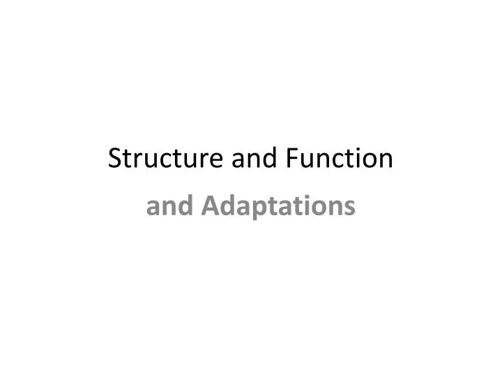 PPT - Structure and Function PowerPoint Presentation, free download ...