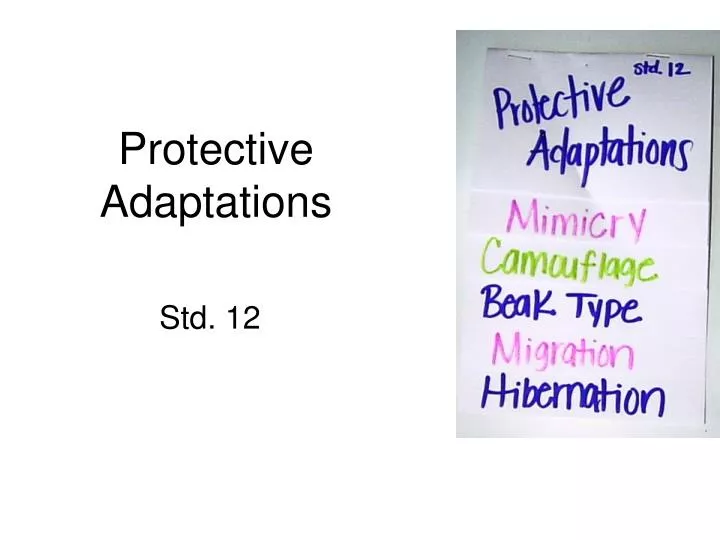 PPT - Protective Adaptations PowerPoint Presentation, free download ...